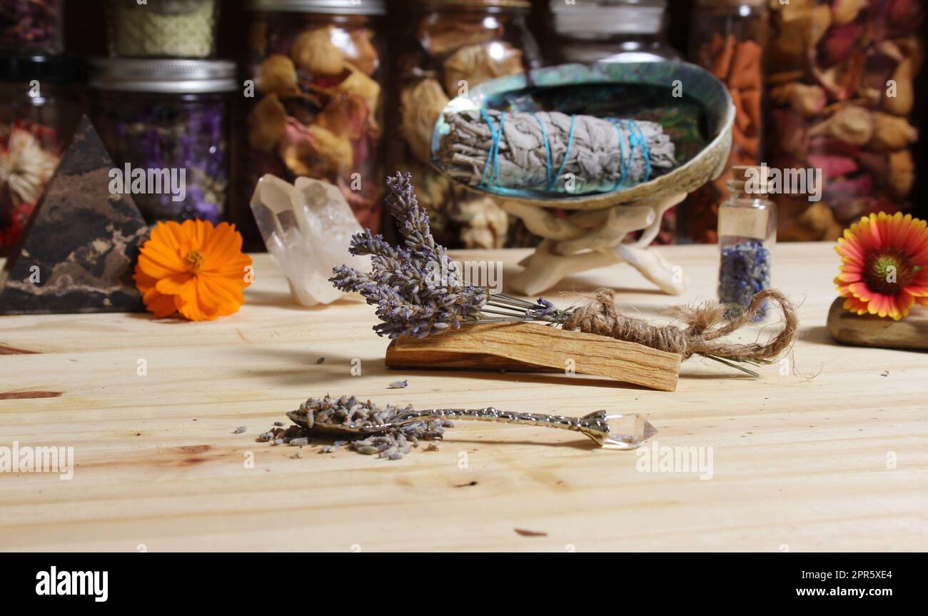 Dried Lavender With Palo Santo Wood and Abalone Shell For Smudging ...
