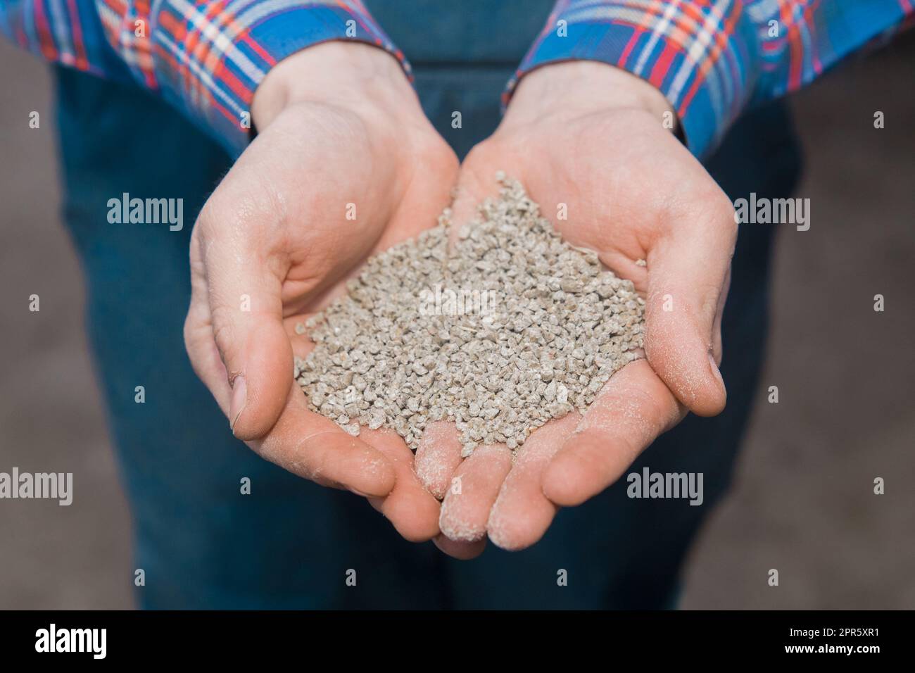 Farmer's hands close-up holding feed, food for birds and chickens ...