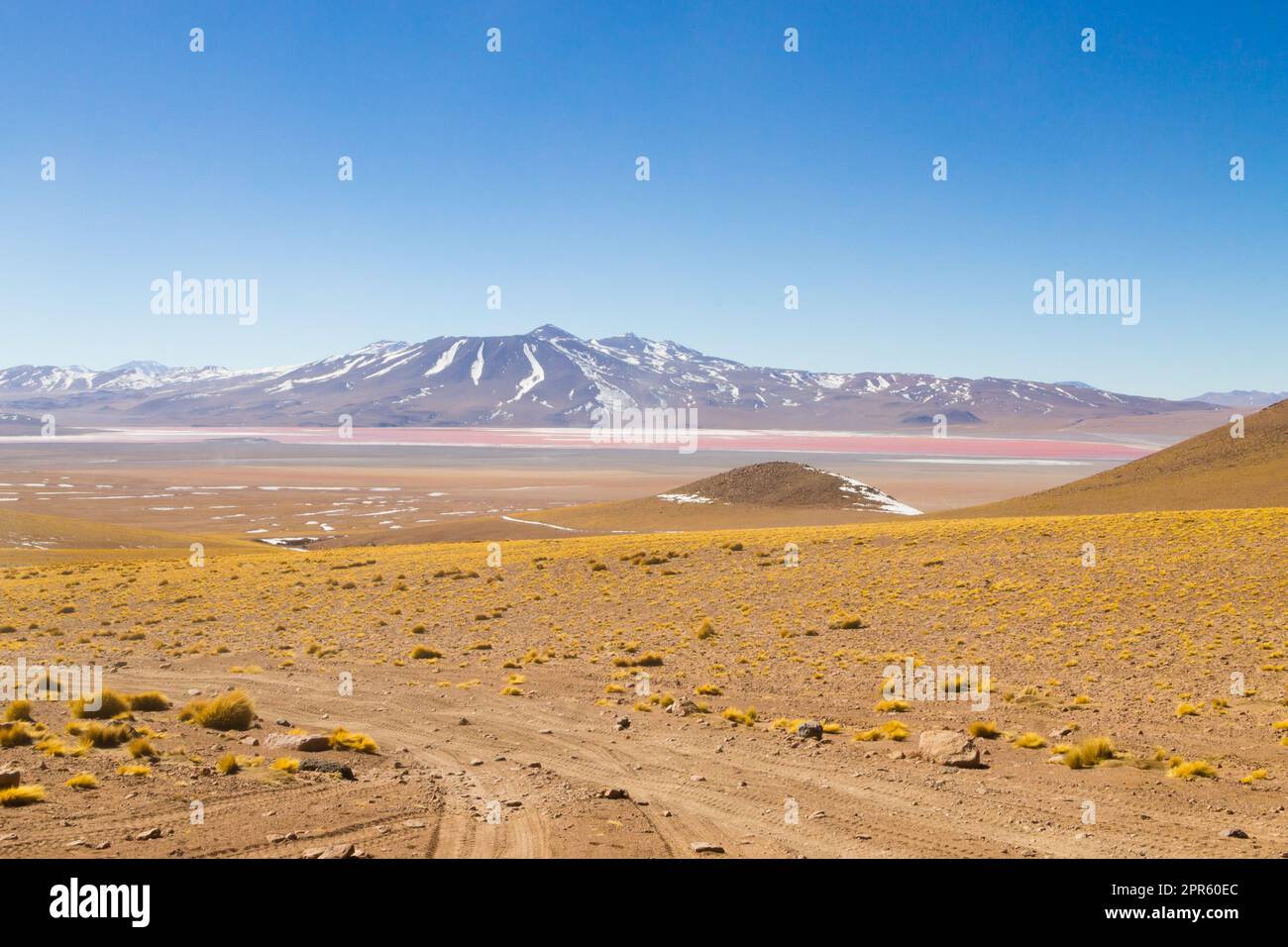 Laguna Colorada view, Bolivia Stock Photo - Alamy