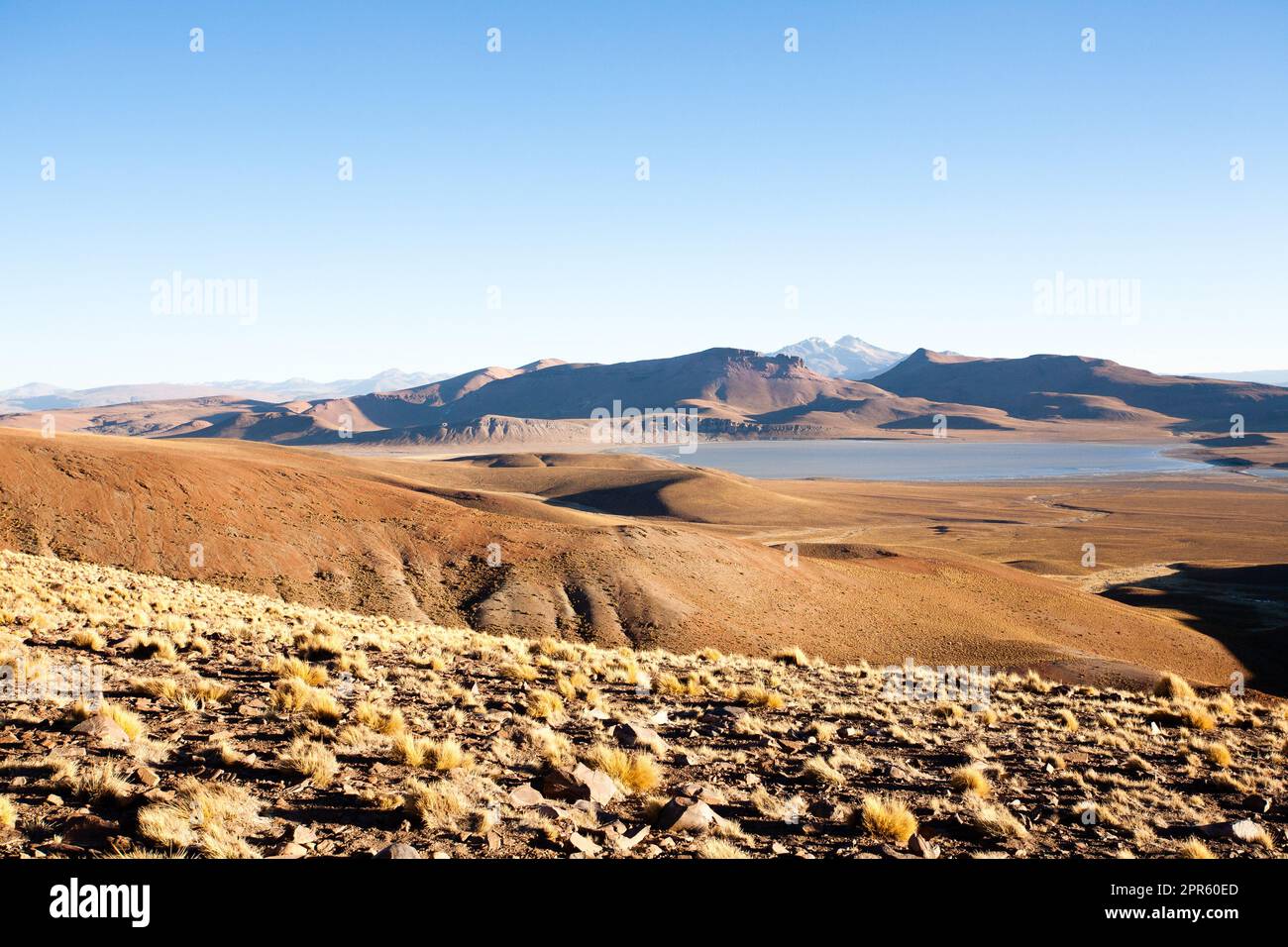 Morejon lagoon view, Bolivia Stock Photo - Alamy