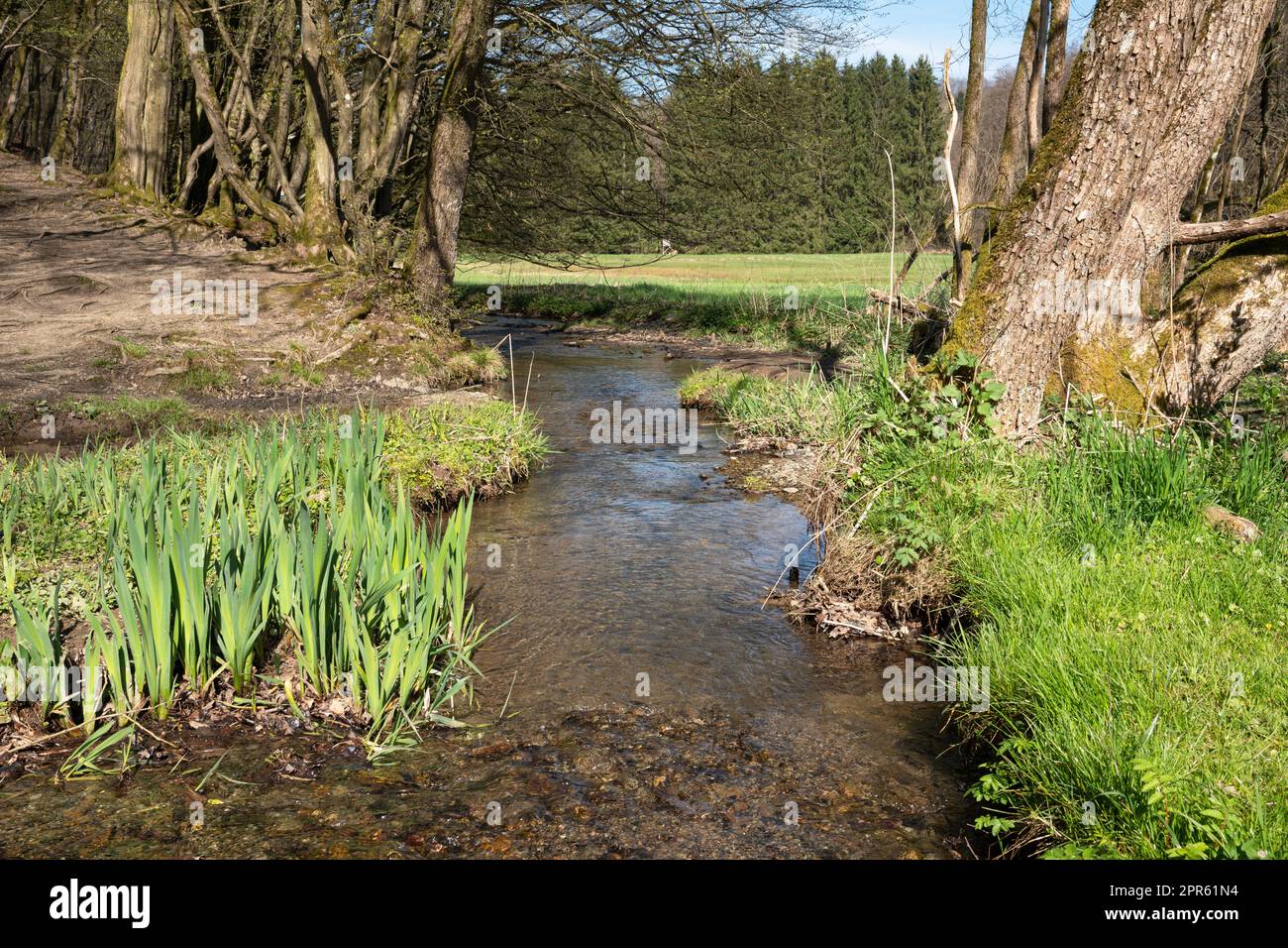 Natural water bodies hi-res stock photography and images - Alamy