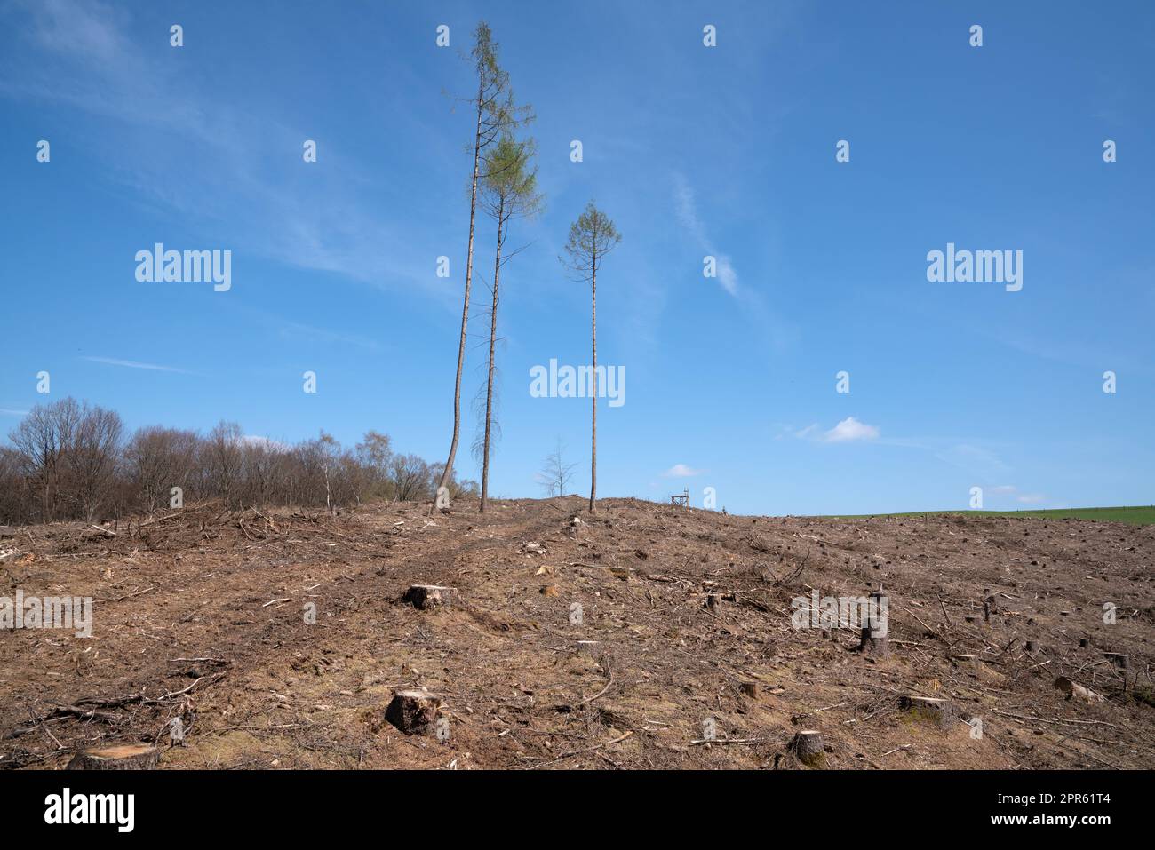Forest biosphere warming hi-res stock photography and images - Alamy