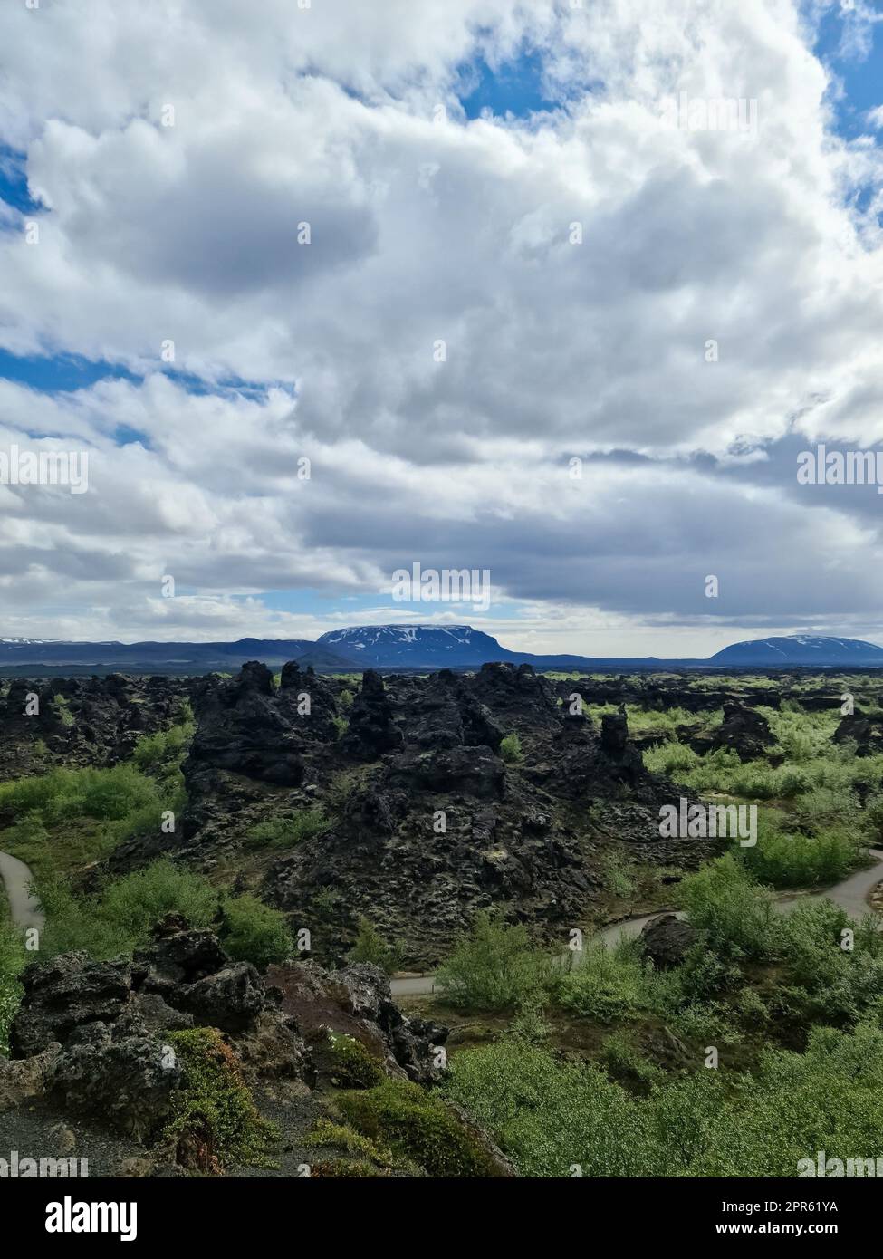 View of the lava fields of a past volcanic eruption in Iceland Stock ...