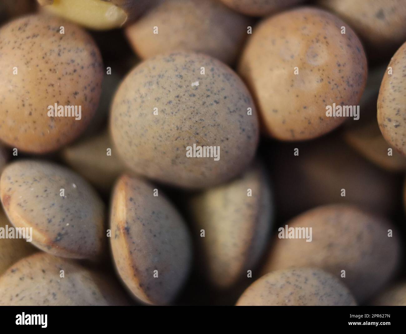 delicious lentils healthy natural legumes needed background Stock Photo ...