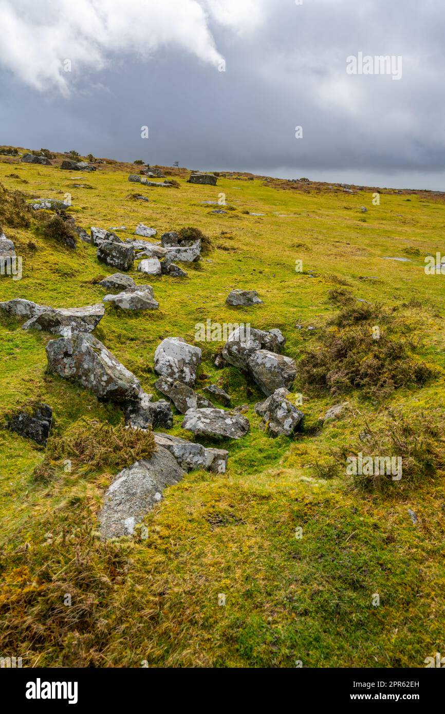 Stones on the land below The Cheesewring (Stowes hill) near Minions ...