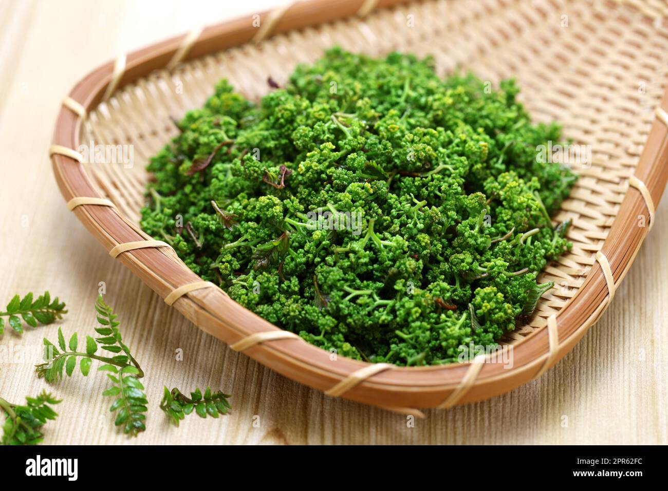 Sansho (Japanese pepper ) flower is a luxury ingredient in Japanese ...