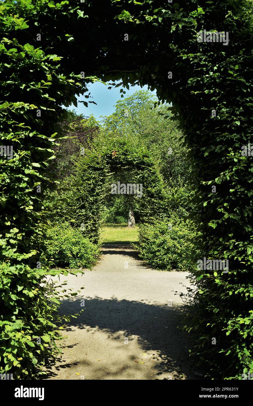 Hedges as privacy screen hi-res stock photography and images - Alamy