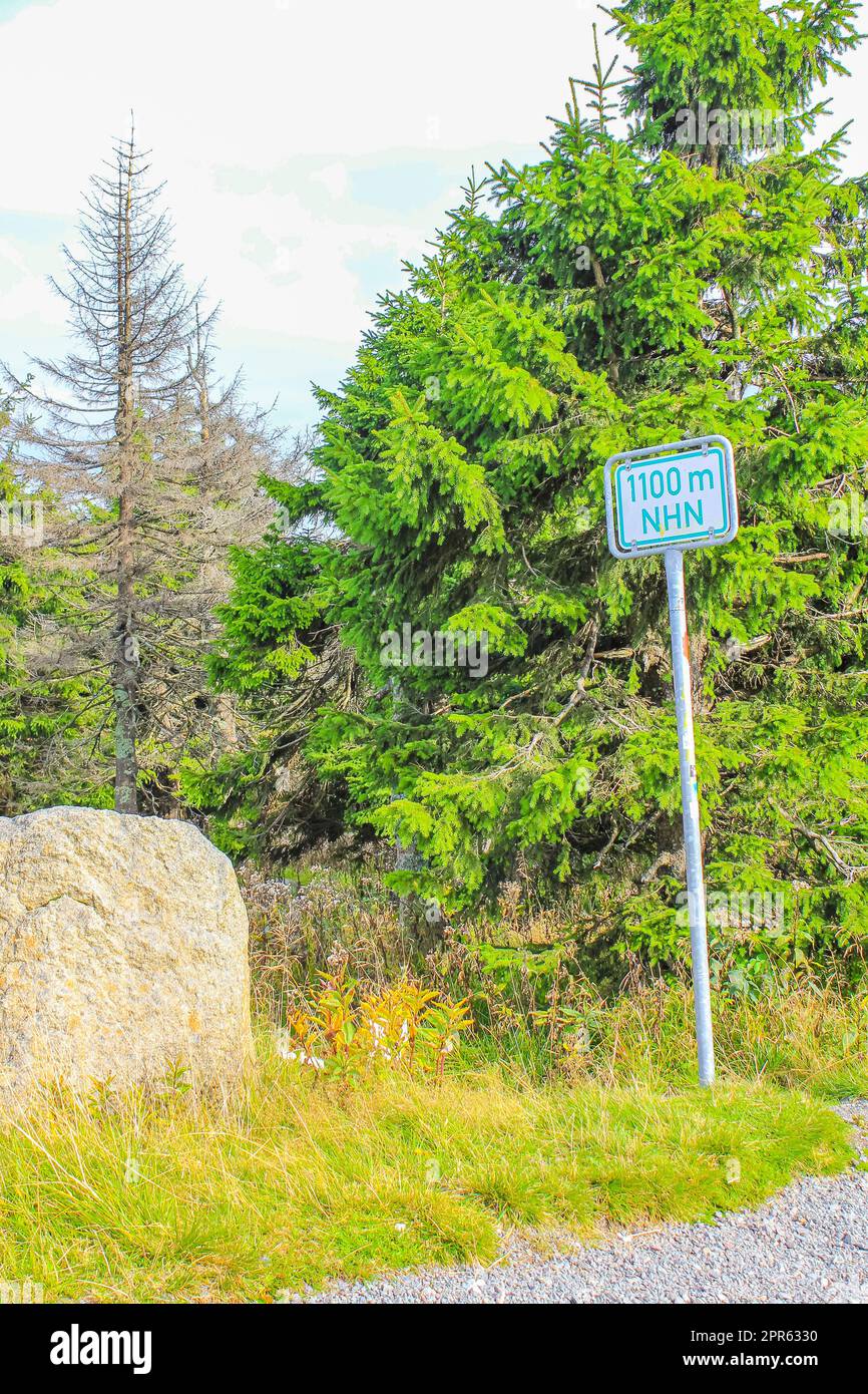 Forest dead fir trees at Brocken mountain peak Harz Germany Stock Photo ...
