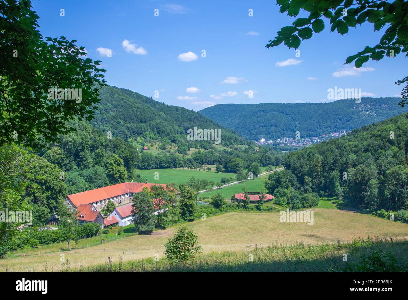 Valley farm with horse hi-res stock photography and images - Alamy