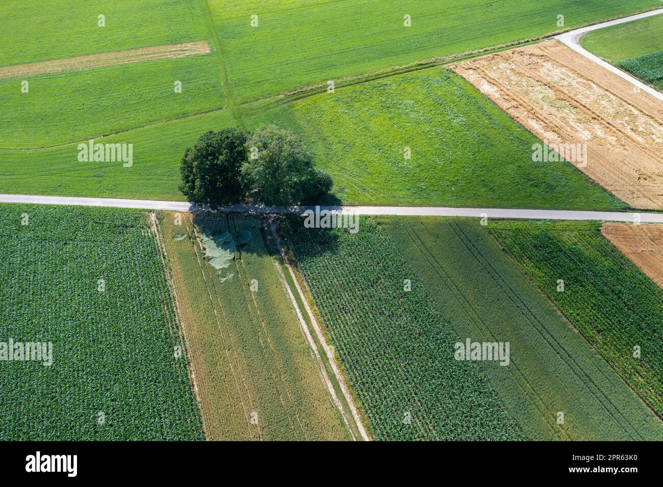aerial view of field and trees Stock Photo - Alamy