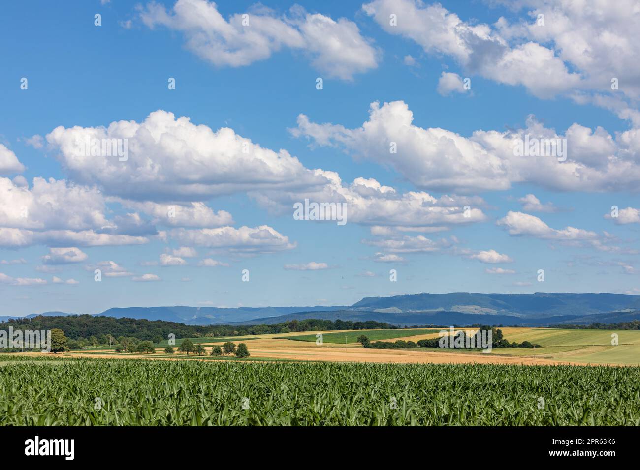 Scenic corn fields hi-res stock photography and images - Alamy