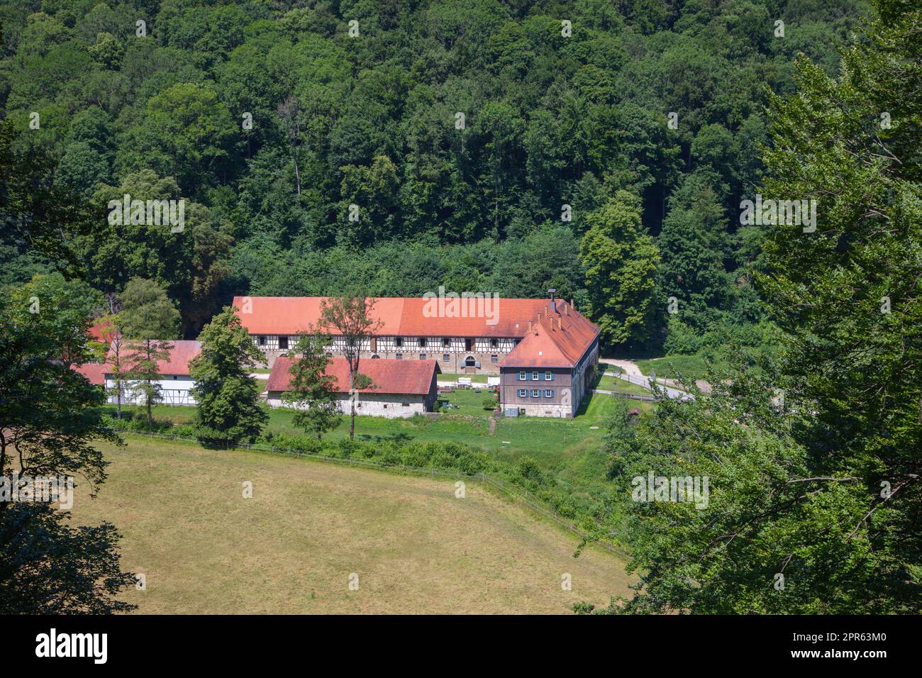 Horse farm germany hi-res stock photography and images - Alamy