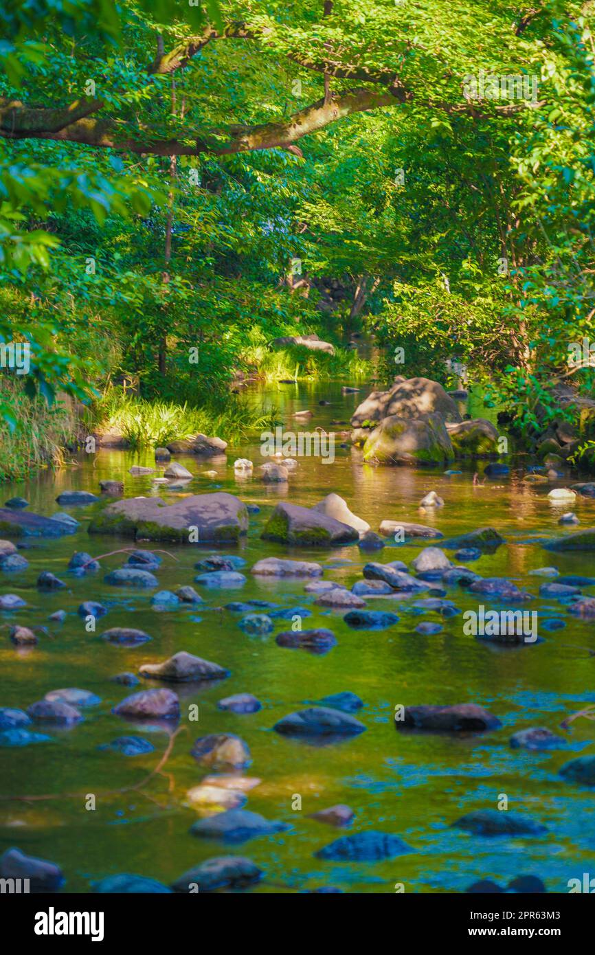 The origin of the kanda river hi-res stock photography and images - Alamy