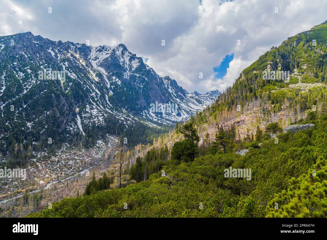 High Tatra Mountain Range Stock Photo - Alamy