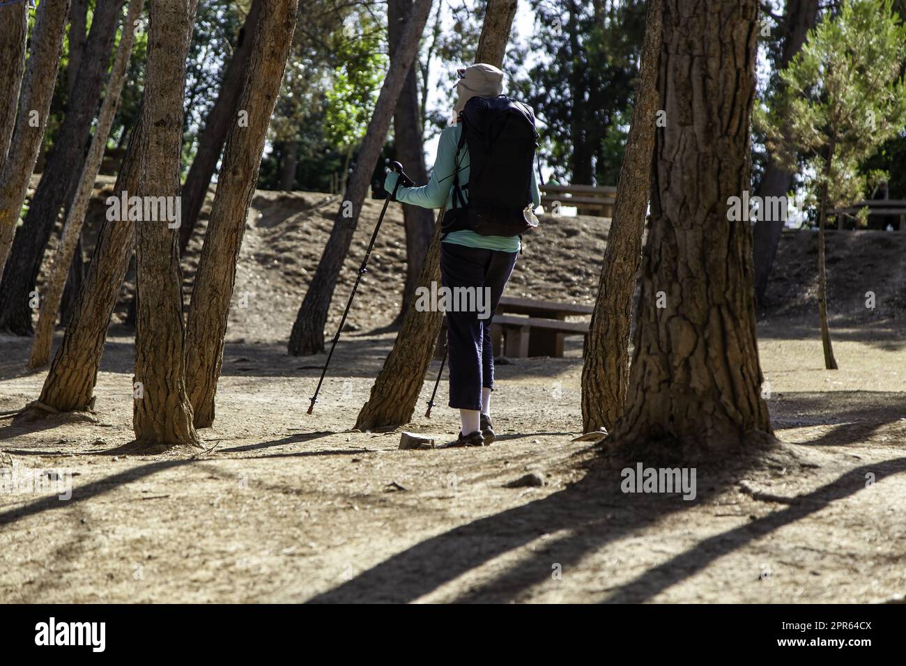 Pilgrim road temple hi-res stock photography and images - Alamy