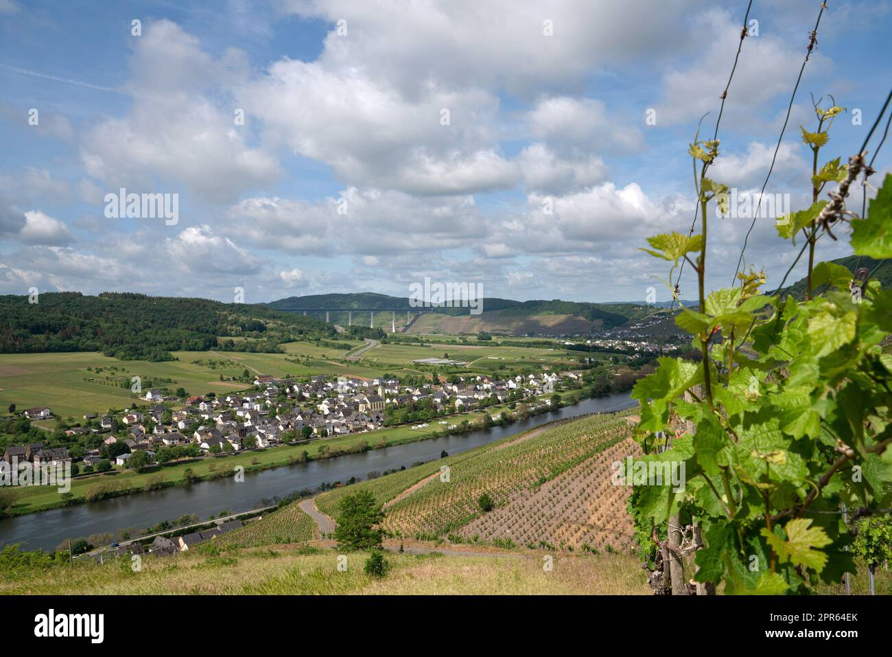 Moselle river close to Traben Trarbach, Germany Stock Photo - Alamy