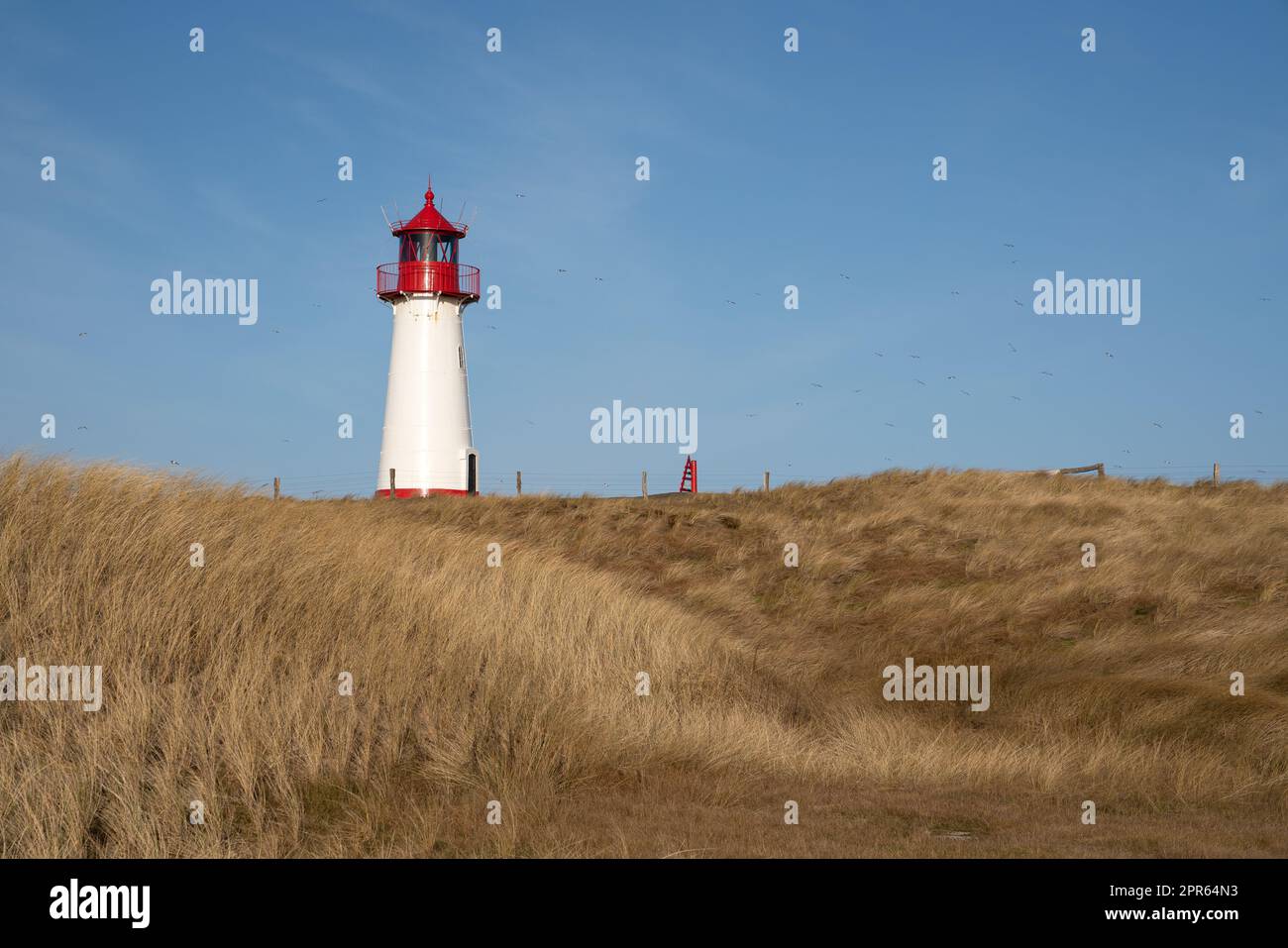 Lighthouses of Sylt, North Frisia, Germany Stock Photo - Alamy
