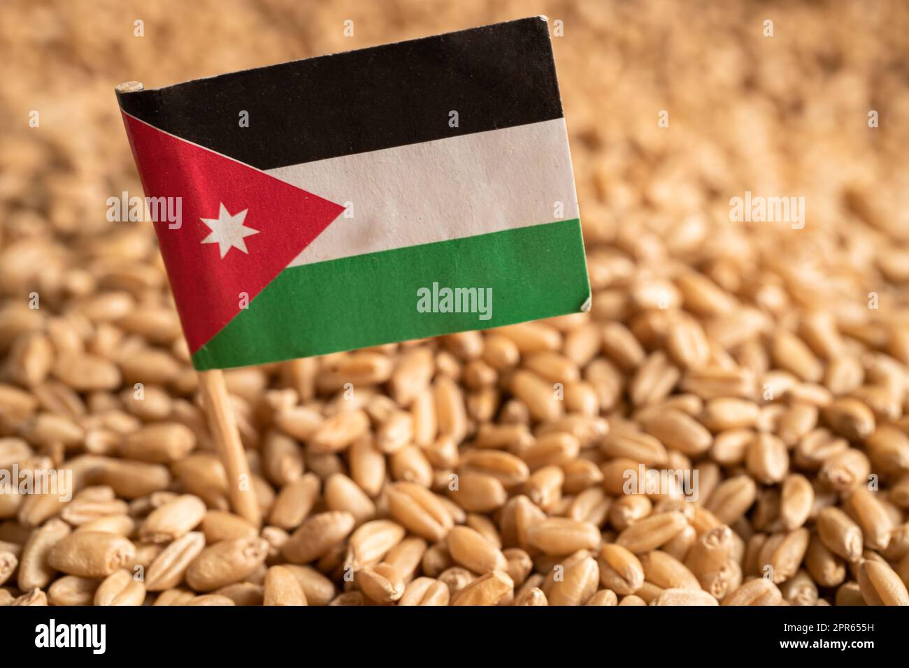 Grains wheat with Jordan flag, trade export and economy concept Stock ...