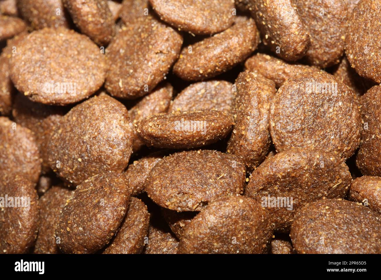 Dogs dry round food close up animals eating background high quality big ...