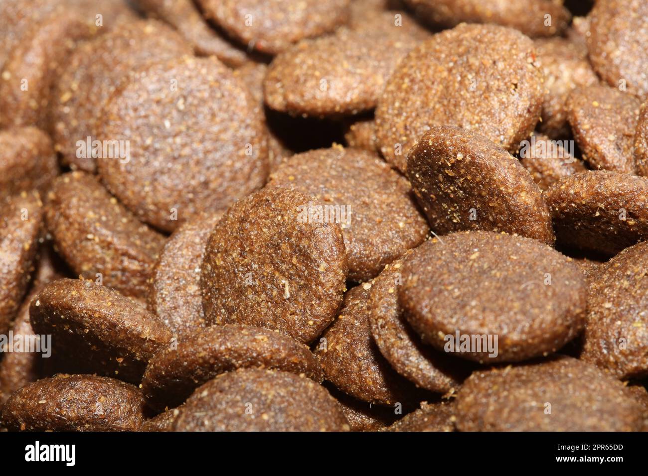 Dogs dry round food close up animals eating background high quality big ...