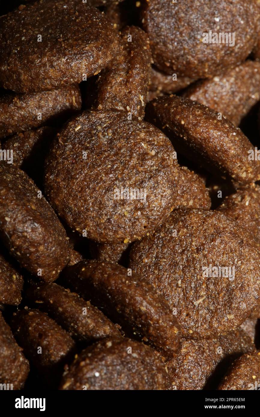 Dogs dry round food close up animals eating background high quality big ...