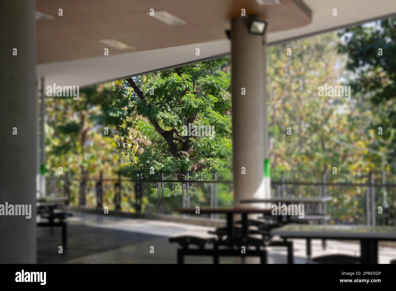 Dormitory style hi-res stock photography and images - Alamy