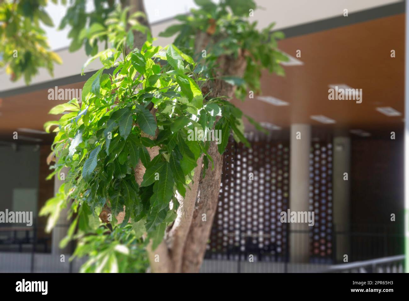 Facade of student dormitory exterior Stock Photo - Alamy