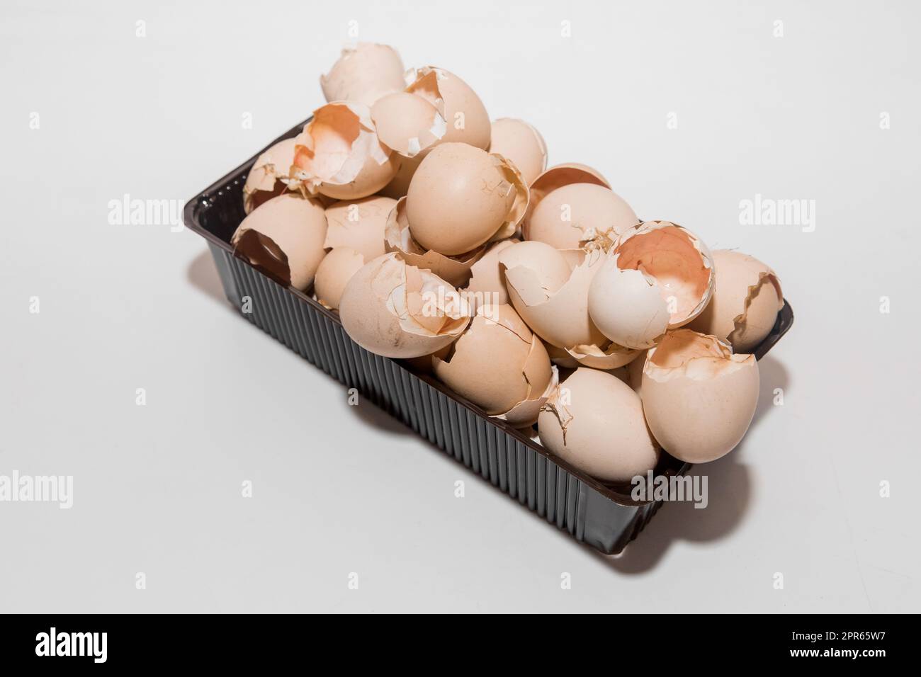 Baby chicks hatch after incubation hi-res stock photography and images ...