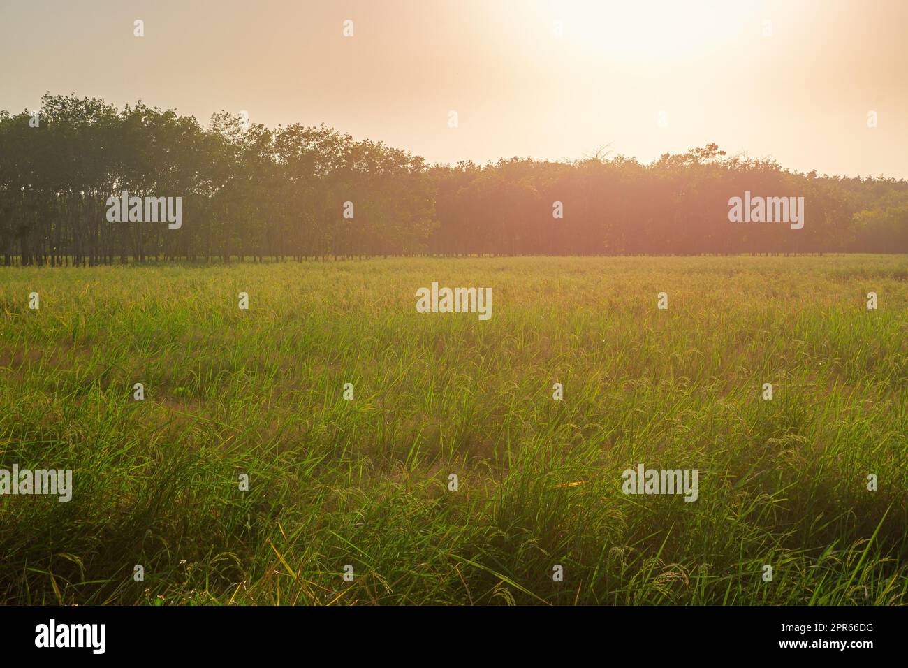Time lapse green farmland blue hi-res stock photography and images - Alamy