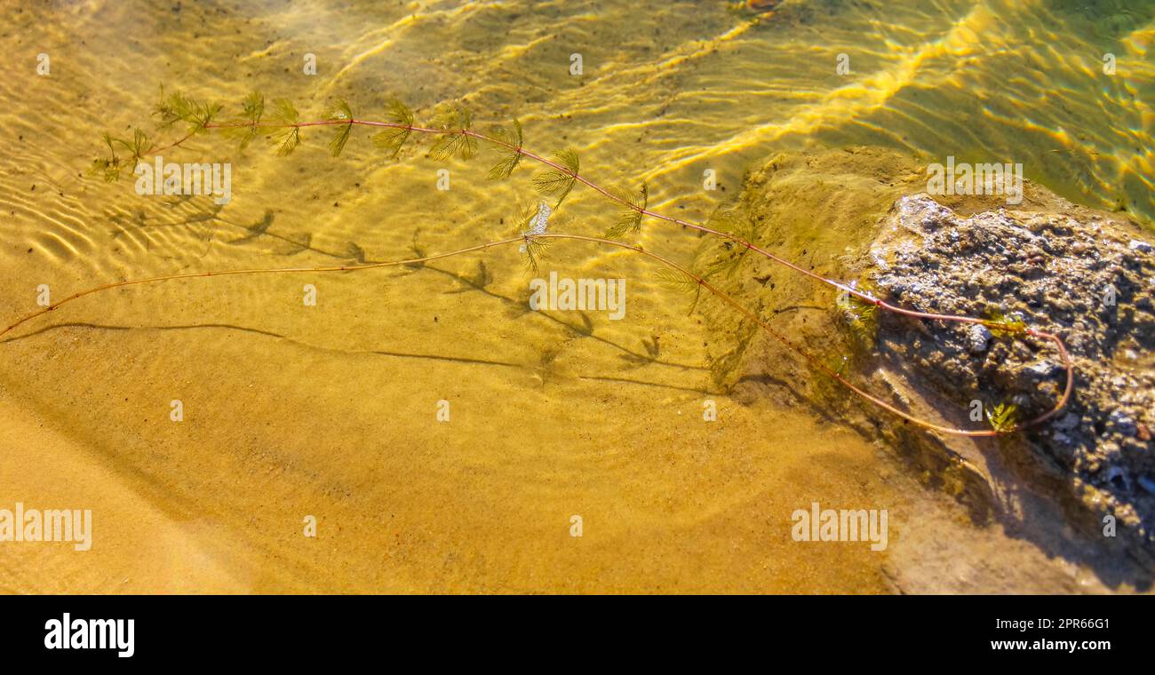 Green blue turquoise water beautiful quarry lake dredging pond lake ...