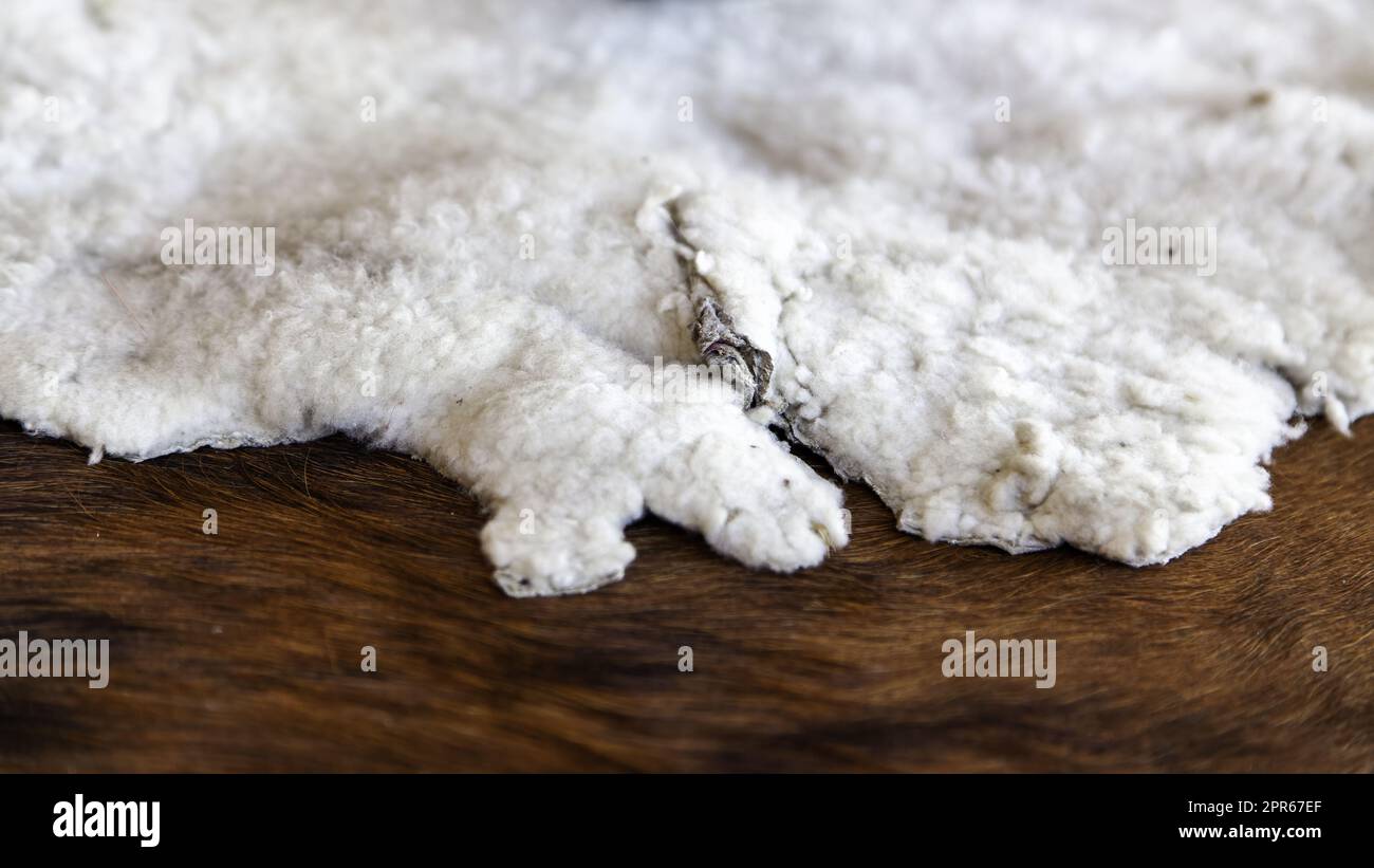 Handcrafted rug hi-res stock photography and images - Alamy