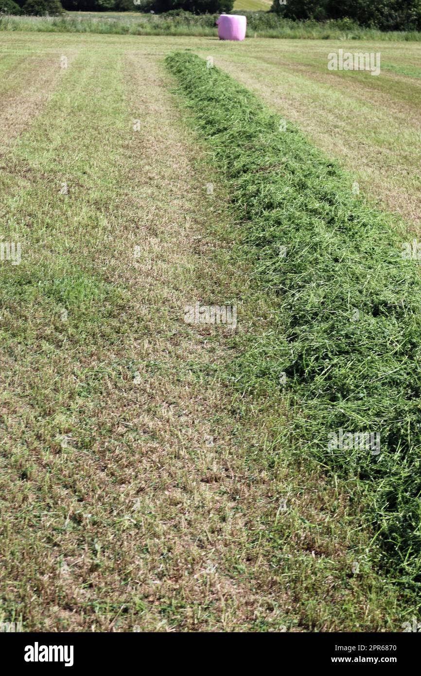 Wrapped bale hi-res stock photography and images - Alamy