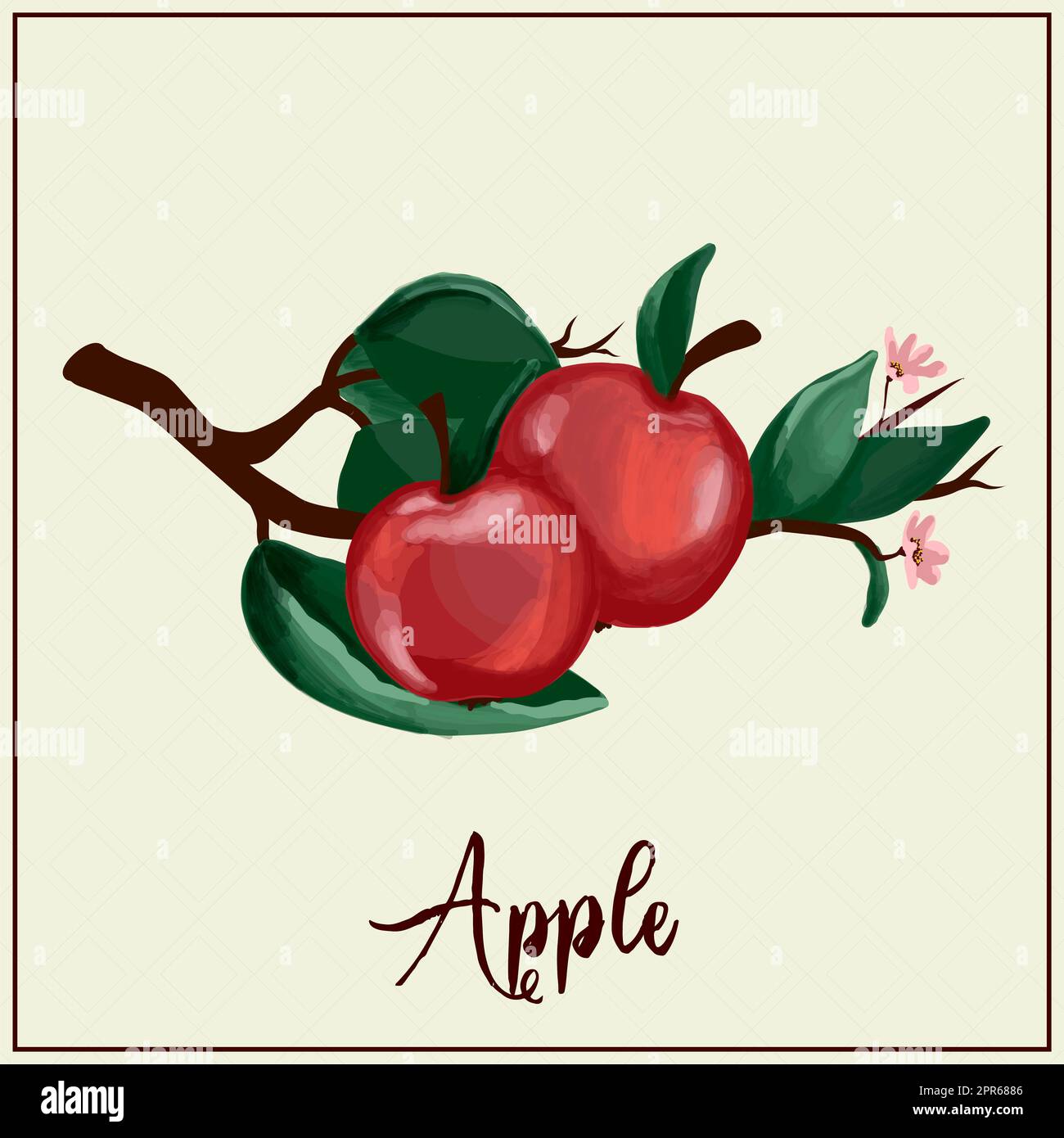 Fruit card. Apples. Drawn red apples. Vector illustration. Farm ...