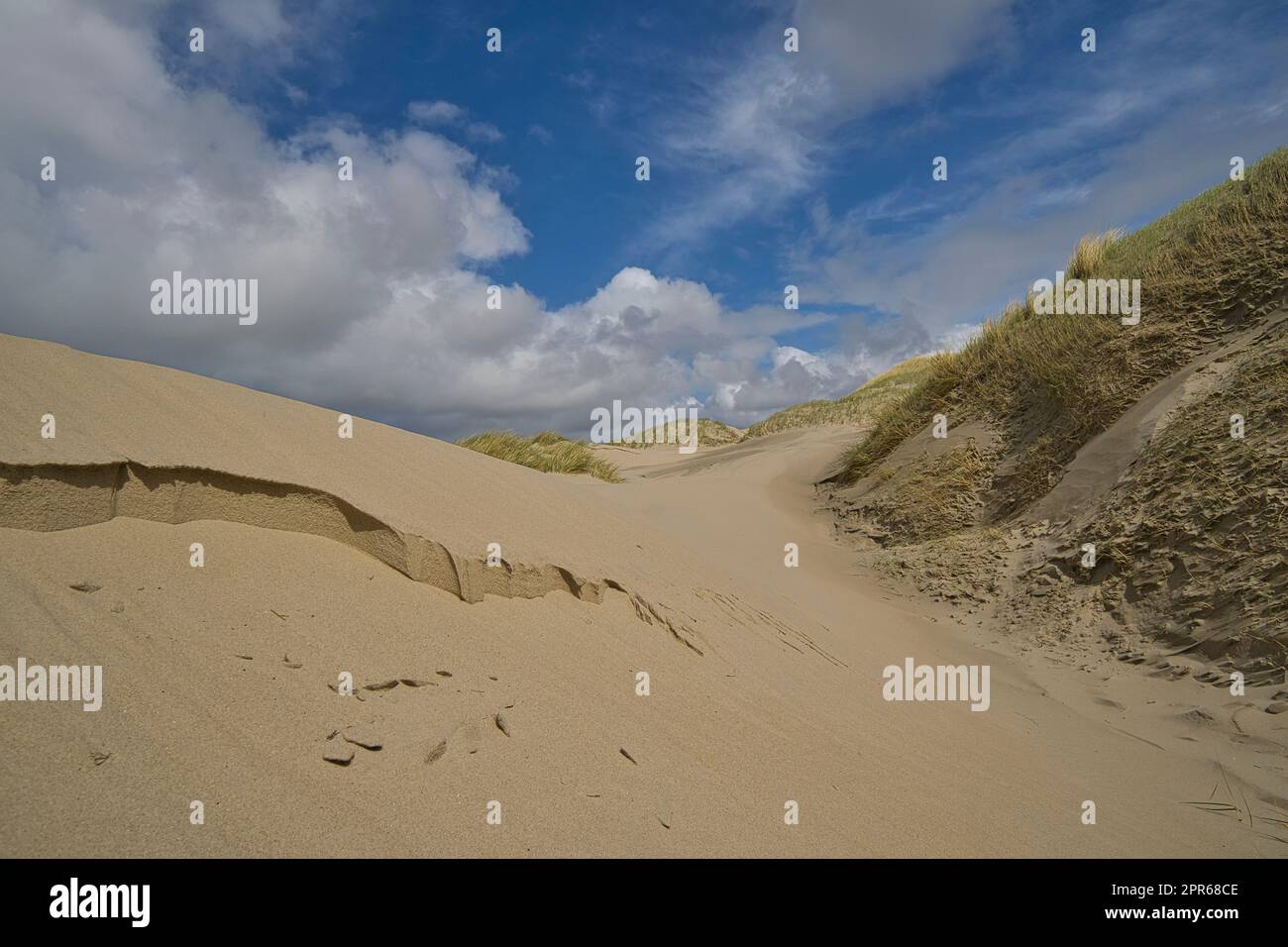 Sand dunes high grass hi-res stock photography and images - Alamy