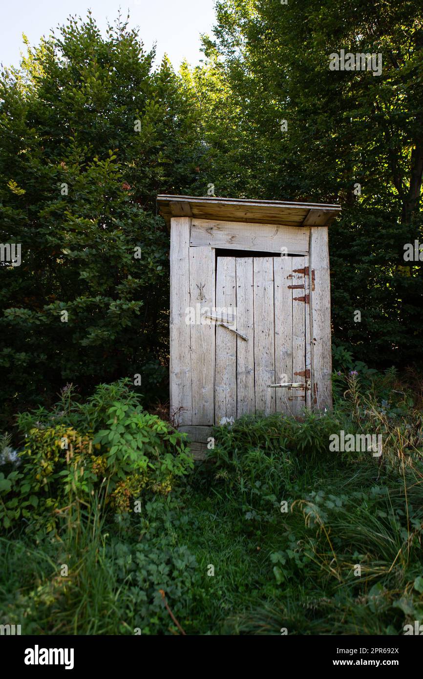 Wooden toilet in a forest grove. Toilet outside in rustic style Stock ...
