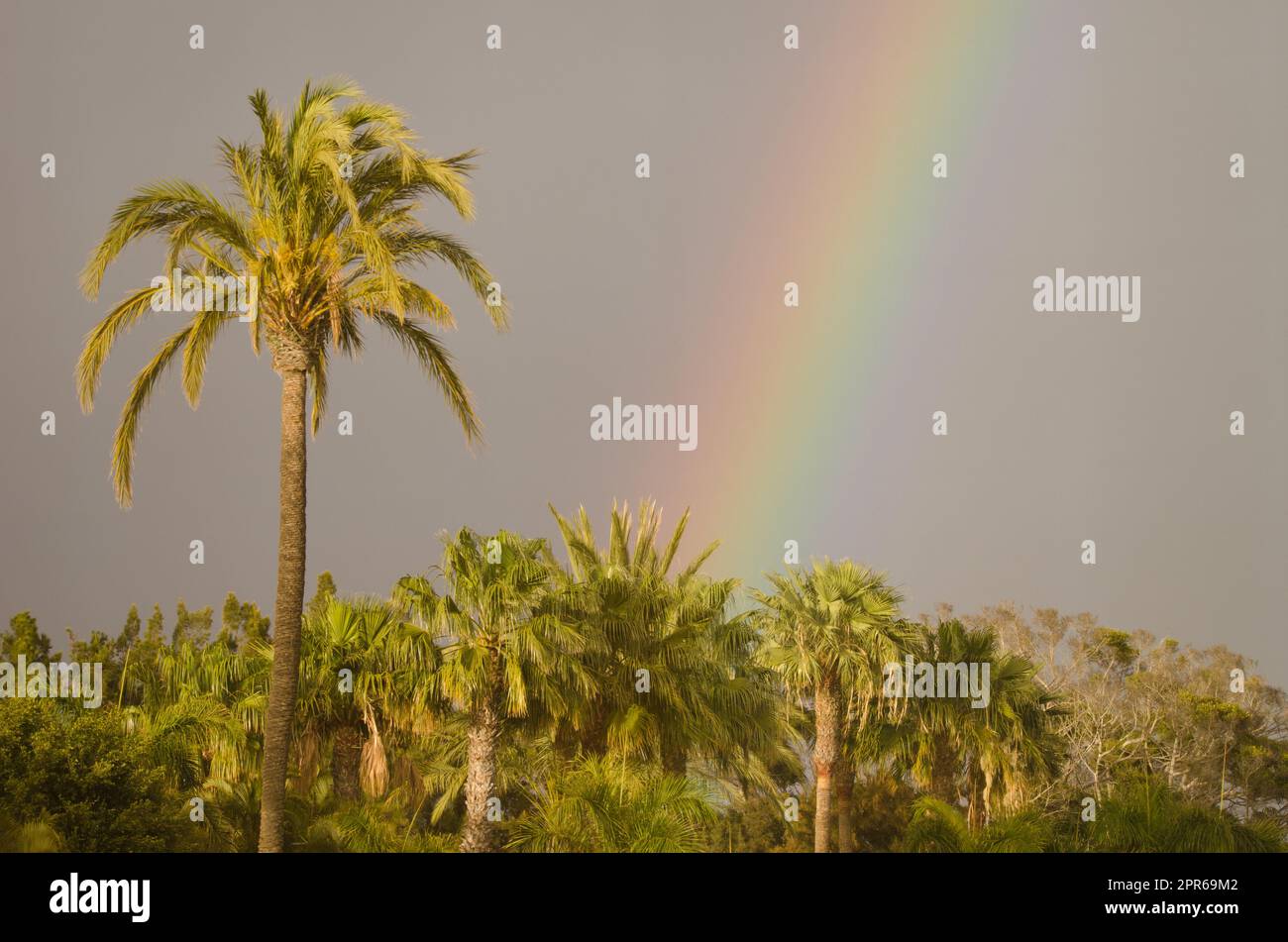 Rainbow over a garden Stock Photo - Alamy
