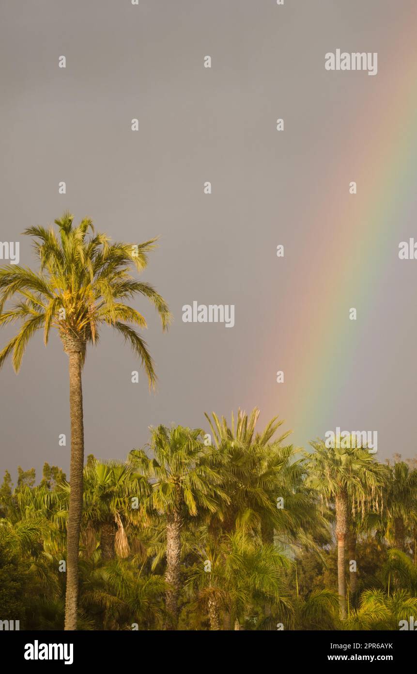 Rainbow over garden forest hi-res stock photography and images - Alamy