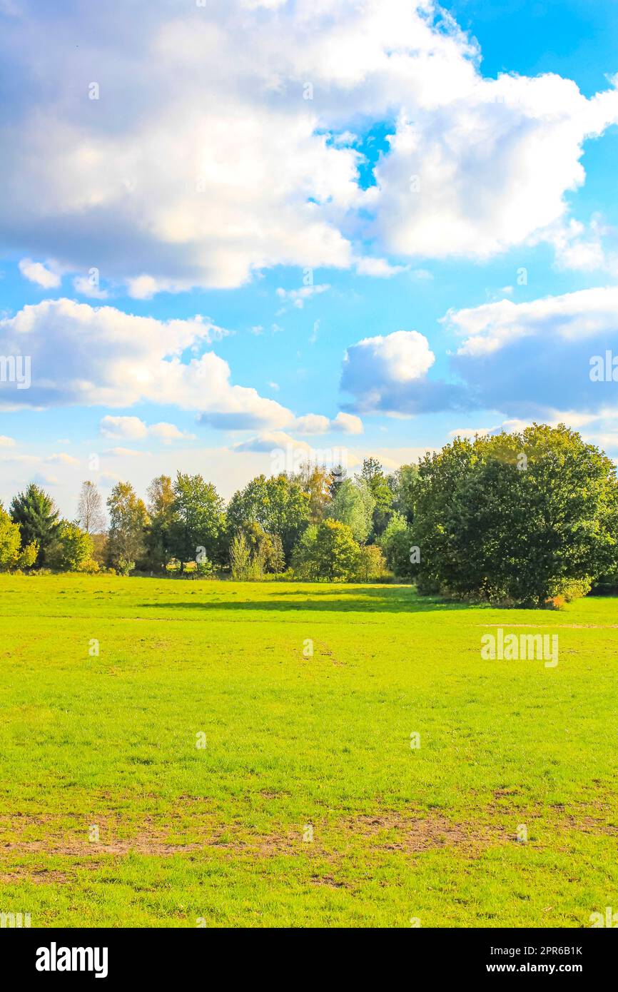 Natural panorama view with pathway green plants trees forest Germany ...