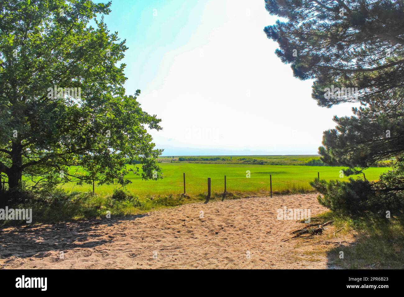 Natural panorama view with pathway green plants trees forest Germany ...