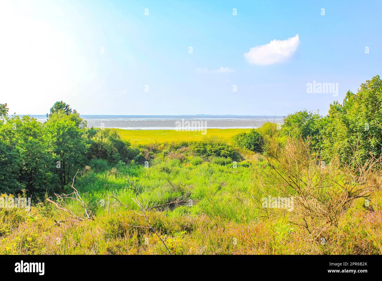 Natural panorama view with coast green plants trees forest Germany ...