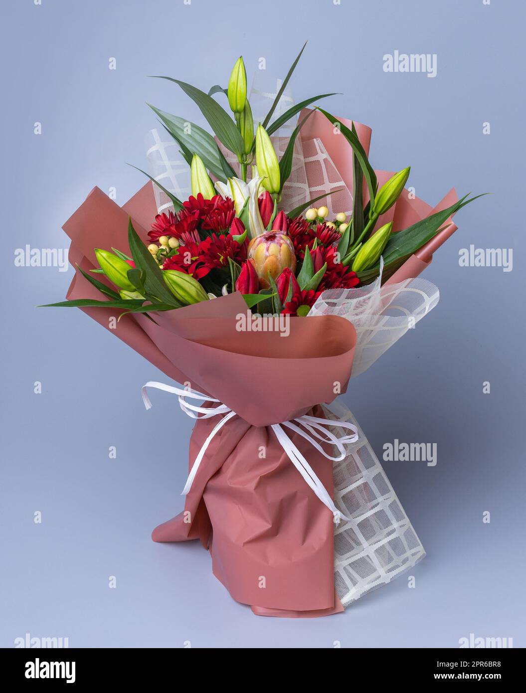 Pink lilies isolated on white hi-res stock photography and images - Alamy