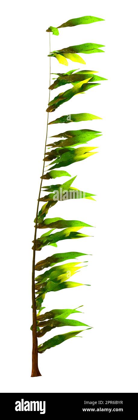 3D rendering of a single underwater kelp isolated on white background ...