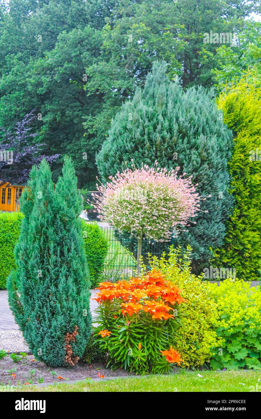 Yellow red orange pink colorful flowers trees bushes Germany Stock ...
