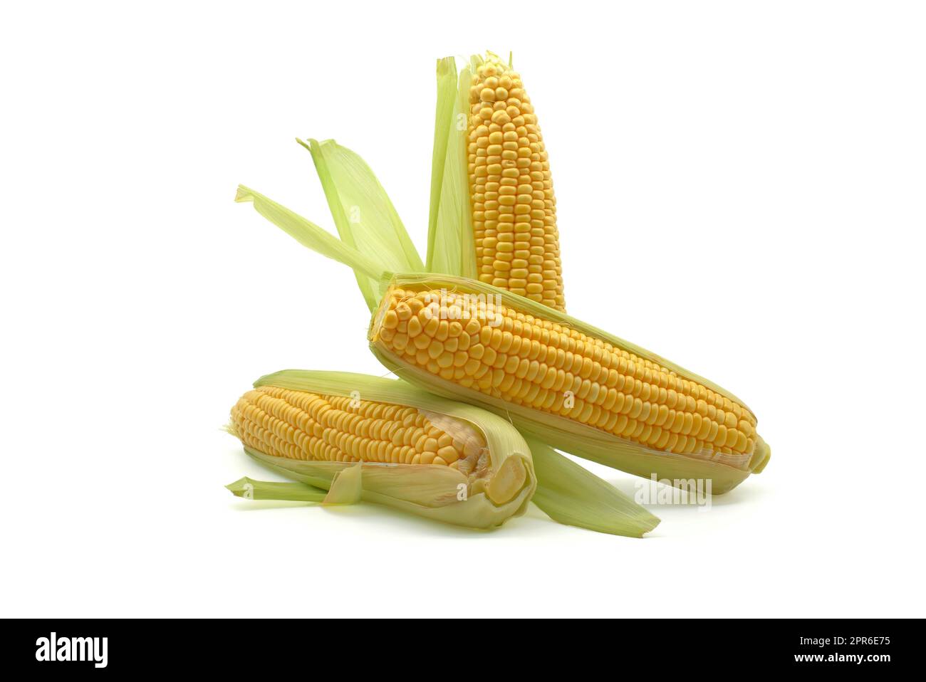Fresh maize or corn on the cob Stock Photo - Alamy
