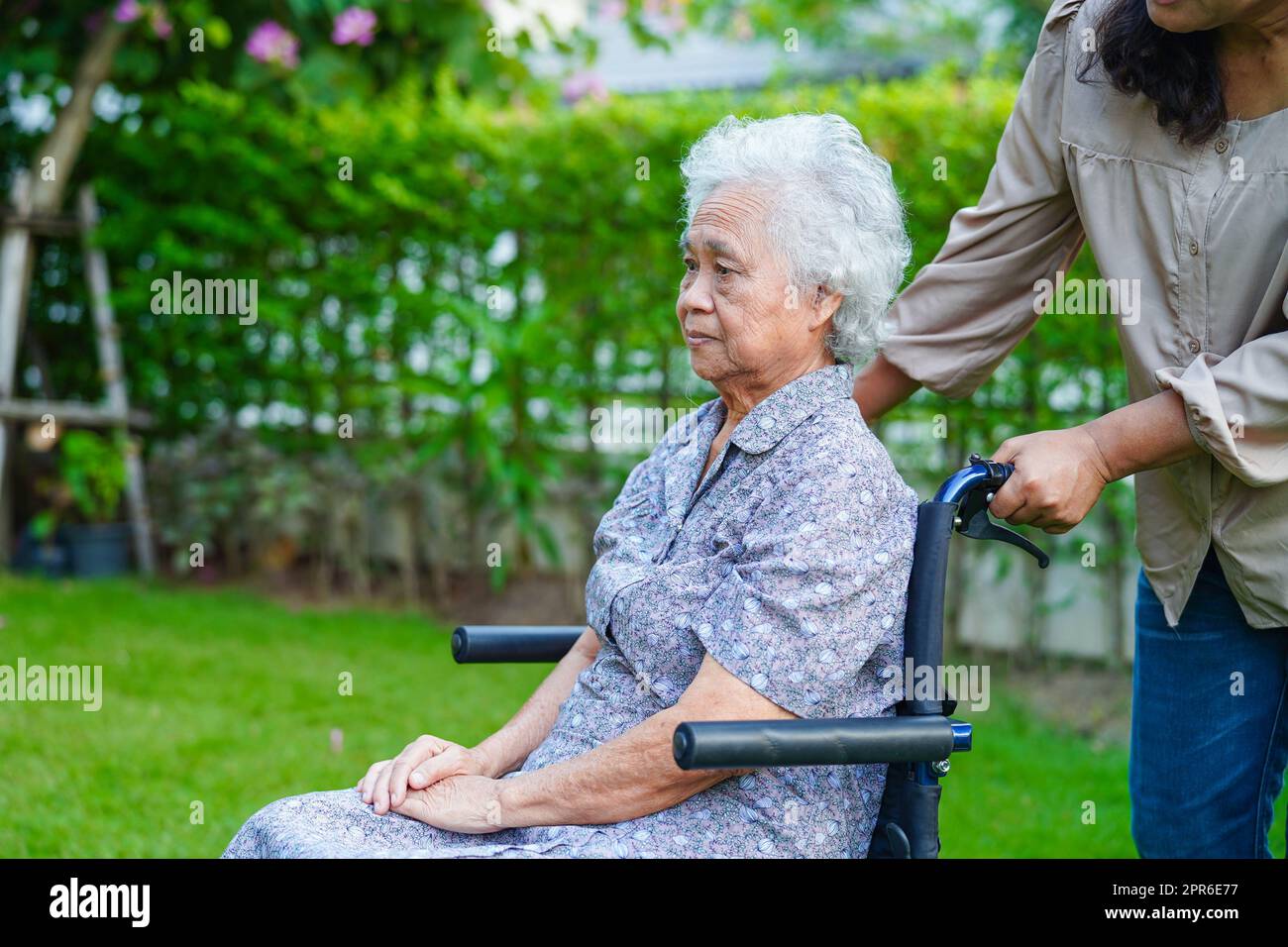 Caregiver help Asian elderly woman disability patient sitting on ...
