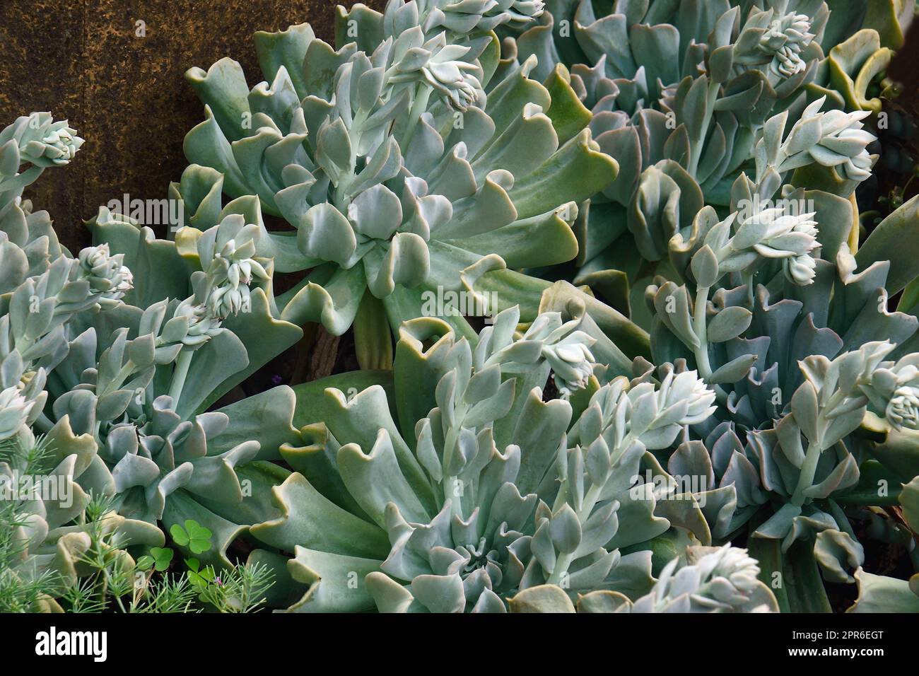 Turvey hi-res stock photography and images - Alamy