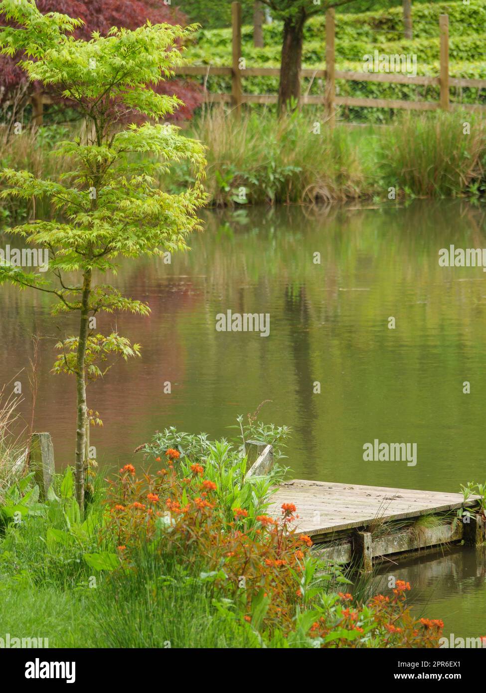 Garden in england hi-res stock photography and images - Alamy