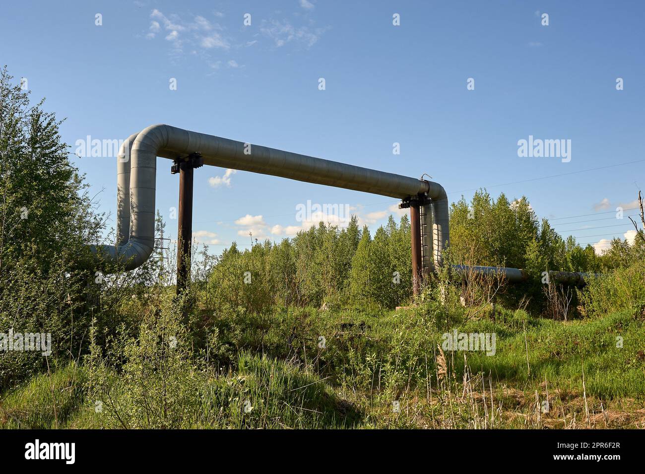 The pipeline through which oil and gas are pumped in the forest ...