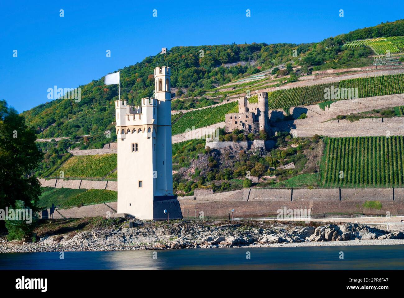 The Mouse Tower (Mäuseturm) and Ehrenfels castle near Bingen am Rhein ...