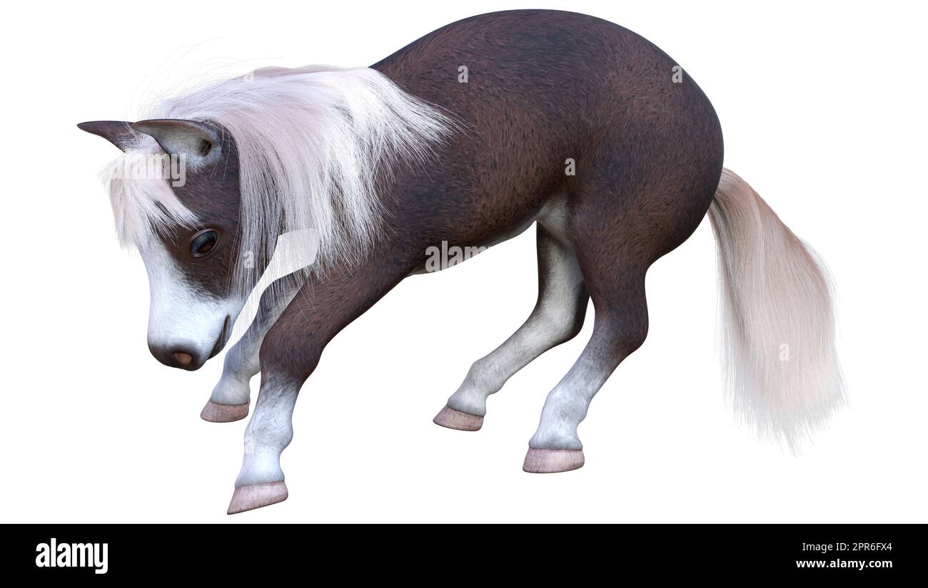 3D rendering of a pony or a small horse or Equus ferus caballus ...